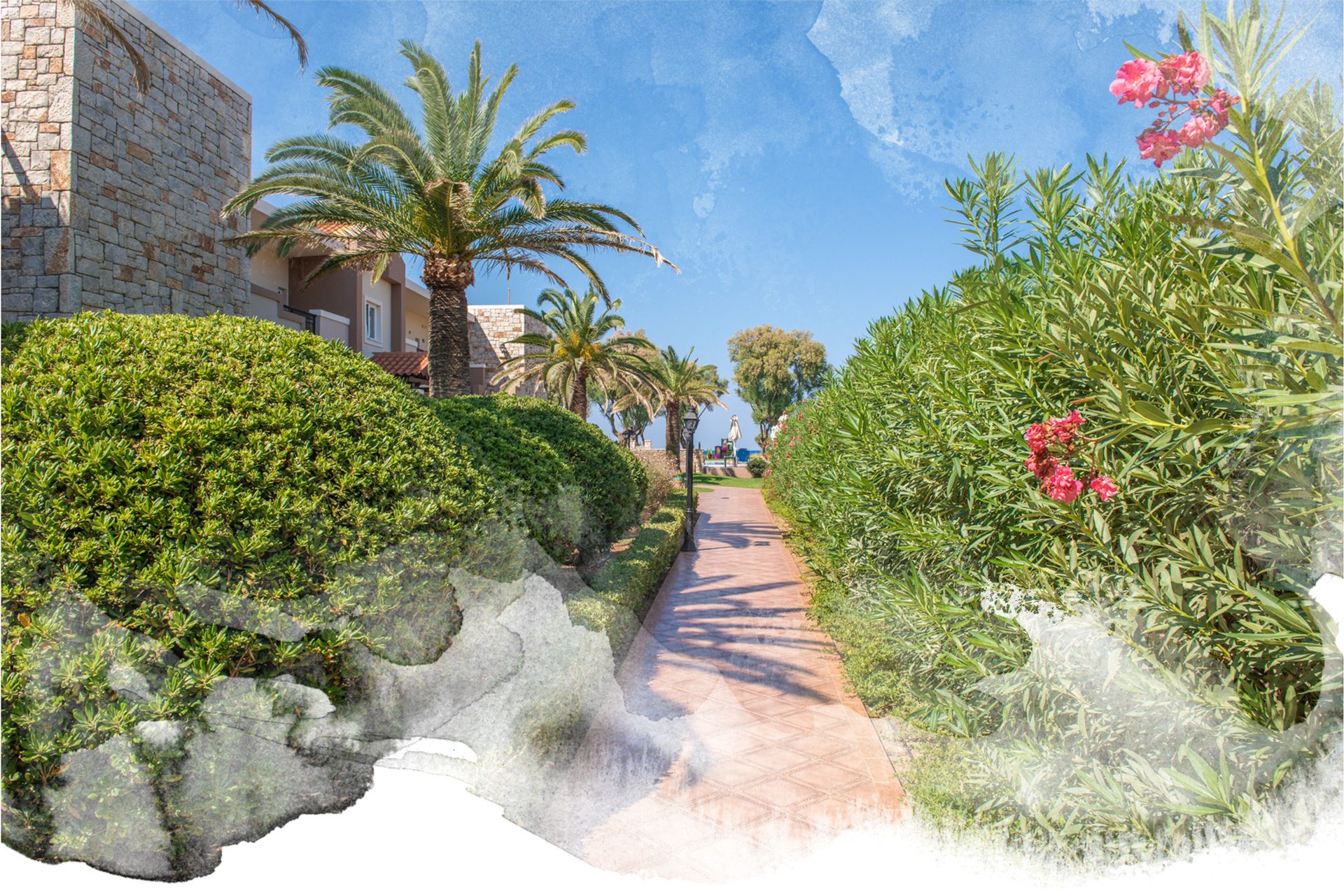 Contact | Lito Beach Hotel